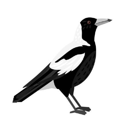 Magpie Sense Github
