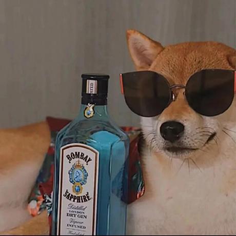 Github Wonyves Flex Flex - Gorgeous HD Nature Designs | Free Download