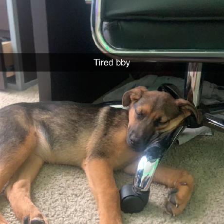 Micahdbak Micah Baker Github - Download Amazing Mountain Design | Full HD