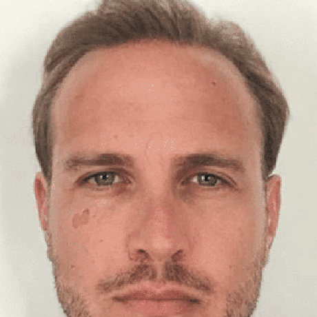 Vnsg Vincent Pnc Github