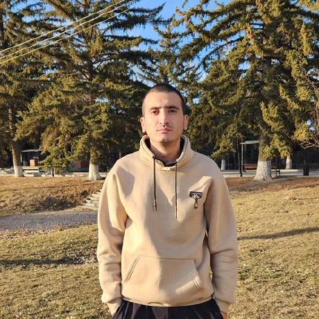 Gorsahakyan10 Gor Github