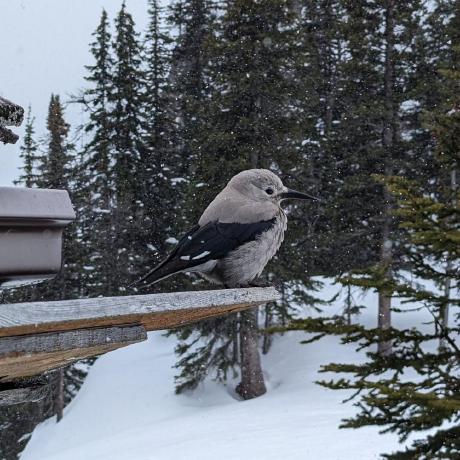 Ted He Ted He Github