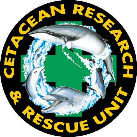 Cetacean Research Rescue Unit Crru Github
