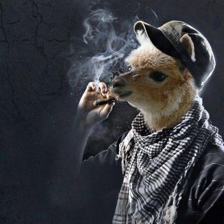 Dev Isaak Isaac Github - Best Sunset Wallpapers in Retina