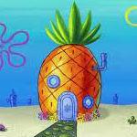 Pineapple Posse Github