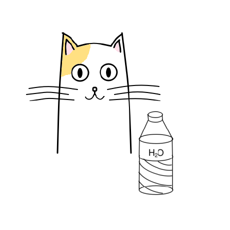 Calico Cat 3333 Github