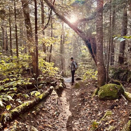 Arunganesan Arun Ganesan Github