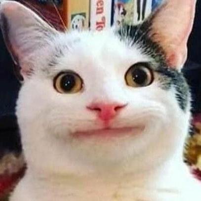 Nizameddinberkorsdemir Cooper邃 ﾂｷ Github