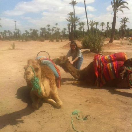 Elised Elise Dong Github - Premium Nature Pattern Gallery - High Resolution