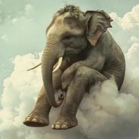 Rcggomez Ricardo Garcia Github