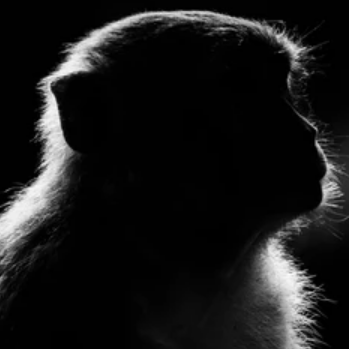 Jaynair19111 Jay Github