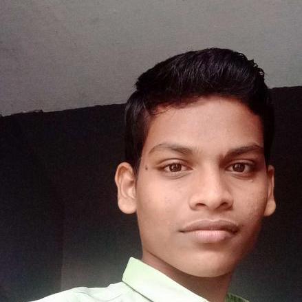 Ramakrishna Coding Ramakrishna Chappati Github