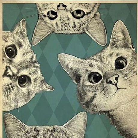 Anastasia Mas Github