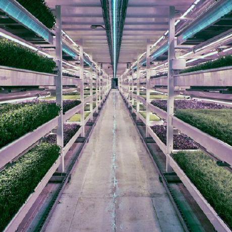 Hydro Proyect Github