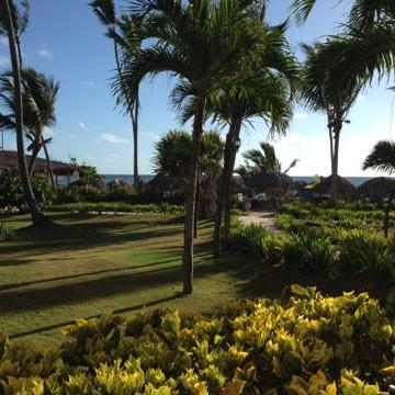 Codemonkeytld Timothy Dave Github