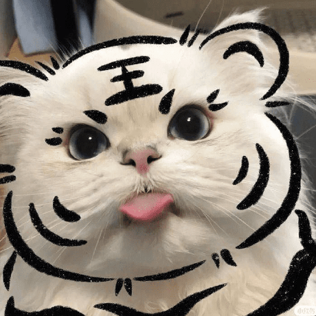 Sksongkran Sk Github