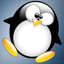 Barsha Abhilasha Github