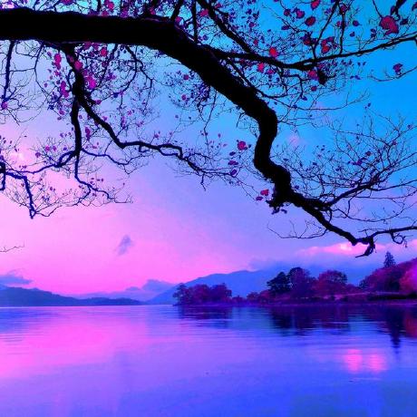 Kavinvengidu Kavin V Github