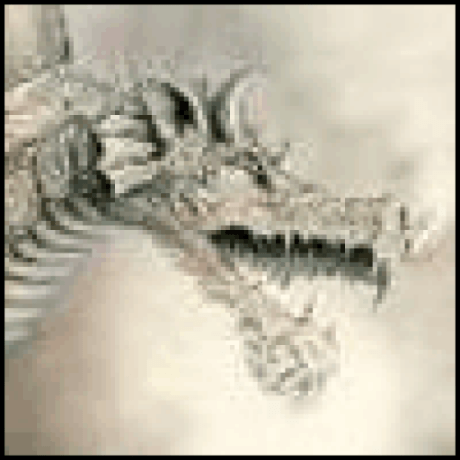 Duckdoom5 Jelle Github