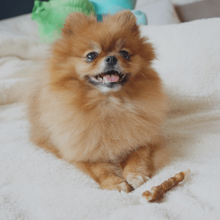 Arzoka Arzoka Github