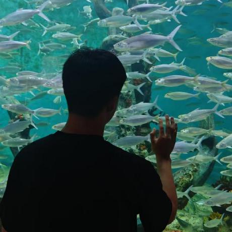 Xlinin 薛宁 Github