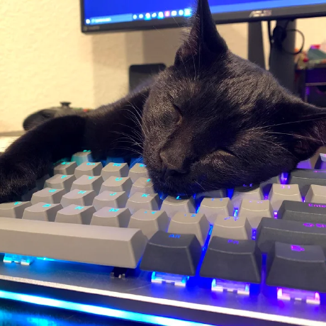 Thecodingcat Git Abhijeet Github