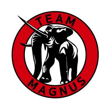 Team Magnus Github