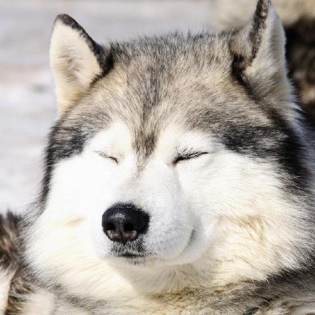 Cheddar Github - Incredible Minimal Design - High Resolution