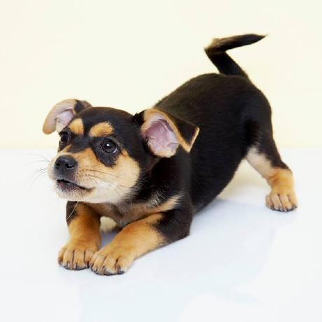 Devops1 Devops1 Github