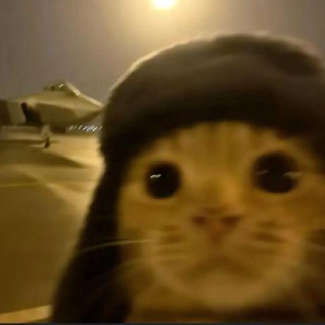 Anan08 Ananda Putra Andika Github