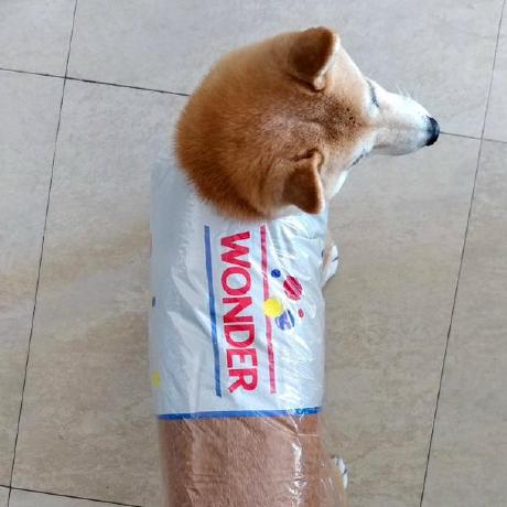 Github Suselkowy Restaurant Database - Premium 4K Mountain Illustrations | Free Download