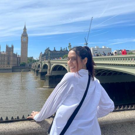 Irene Left Irene Github