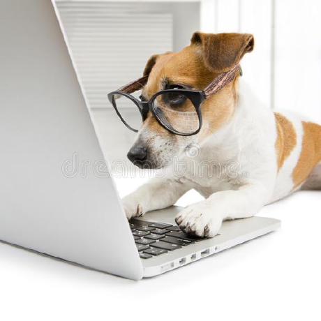 Masters Developers Github