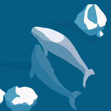 Bittoqubits Jorge Baez Github