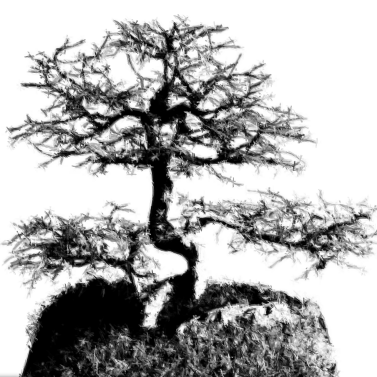 Zombie Bonsai Github