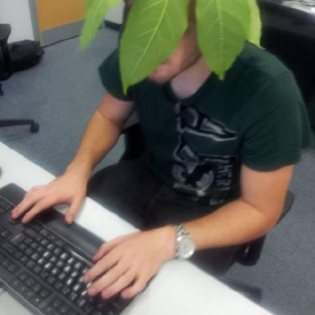 Harryclifford Harry Github