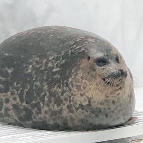 W Edward Github - HD Dark Pictures for Desktop