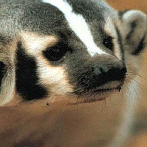 Scottydm C Scott D Miller Github