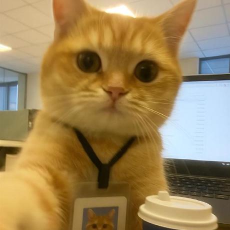 Adhi 32 Adhi 32 Github