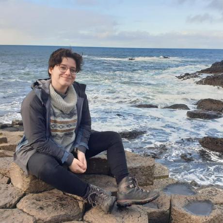 Geonaomi Naomi Github