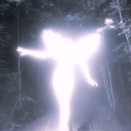 Lorisyanis Loris Yanis Github