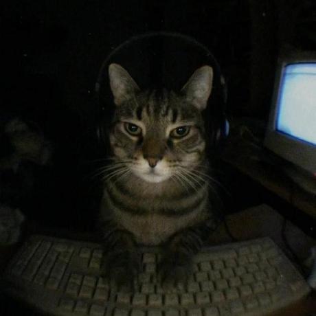 Byronserrano Byron Serrano Github