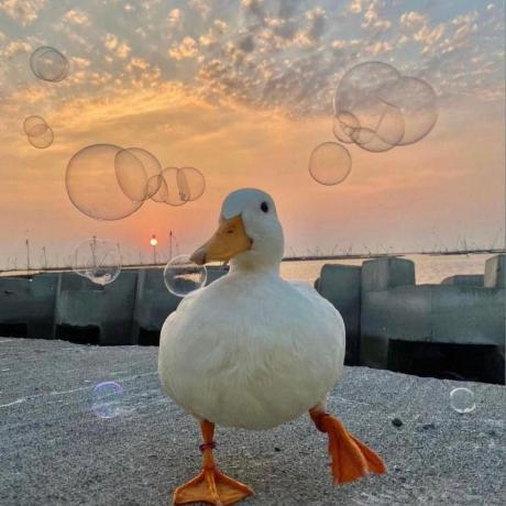 V Lungu Github - Ultra HD Vintage Illustrations for Desktop