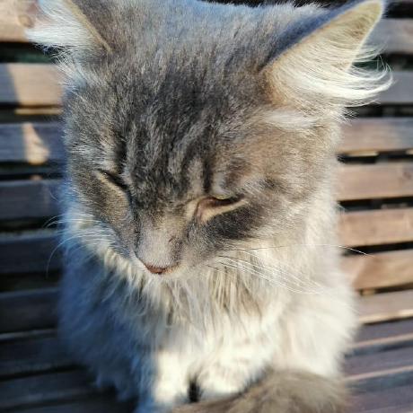 Gsmva Elnara Elnara Gasimova Github