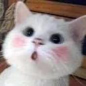 Memopussle Thu Github - Premium City Picture Gallery - HD