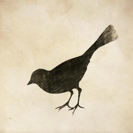 Magpiekong Magpie Github