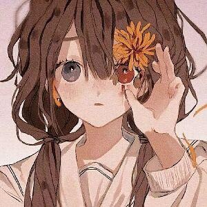 Phywyz Ustc Wang Yunzhi Ustc Github