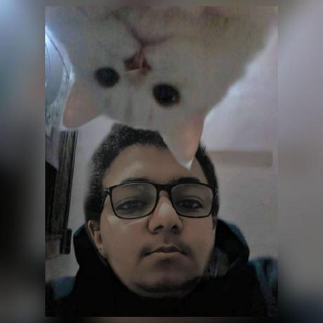 Mahm0ud Salah Github