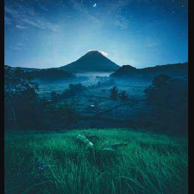 Shriya Pandey08 Shriya Pandey Github