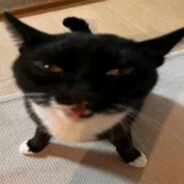 Decaying Winter Minecraft Mod